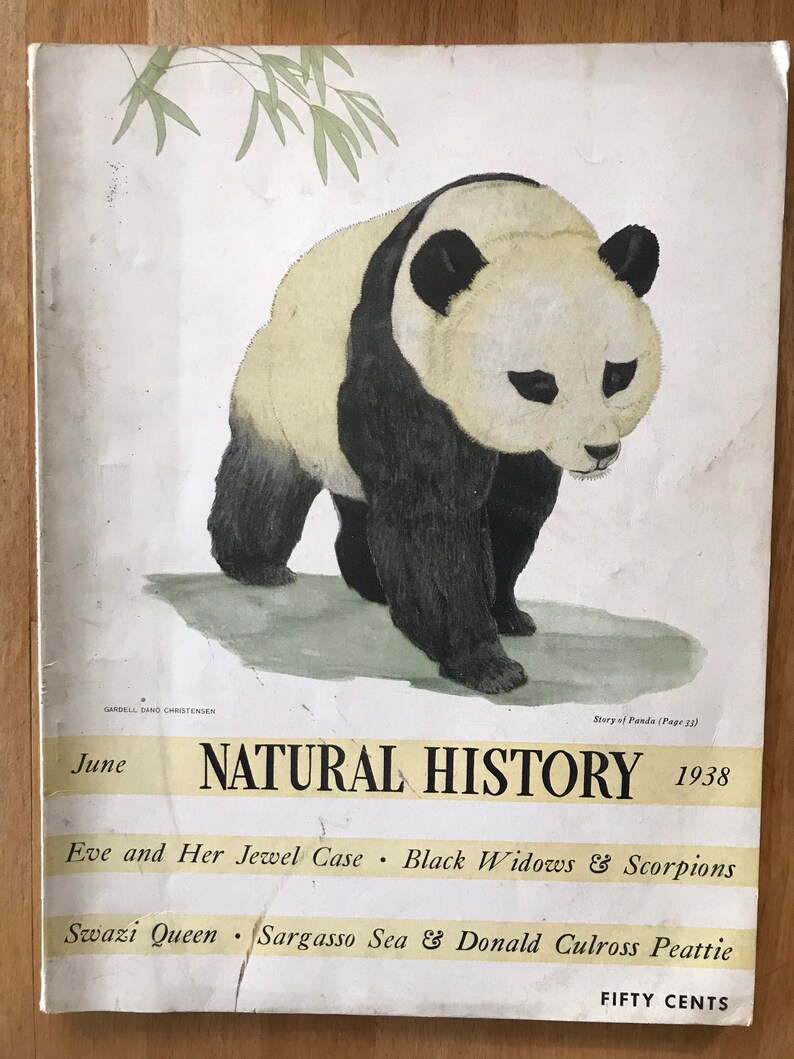 Natural History Magazine June 1938 | Etsy