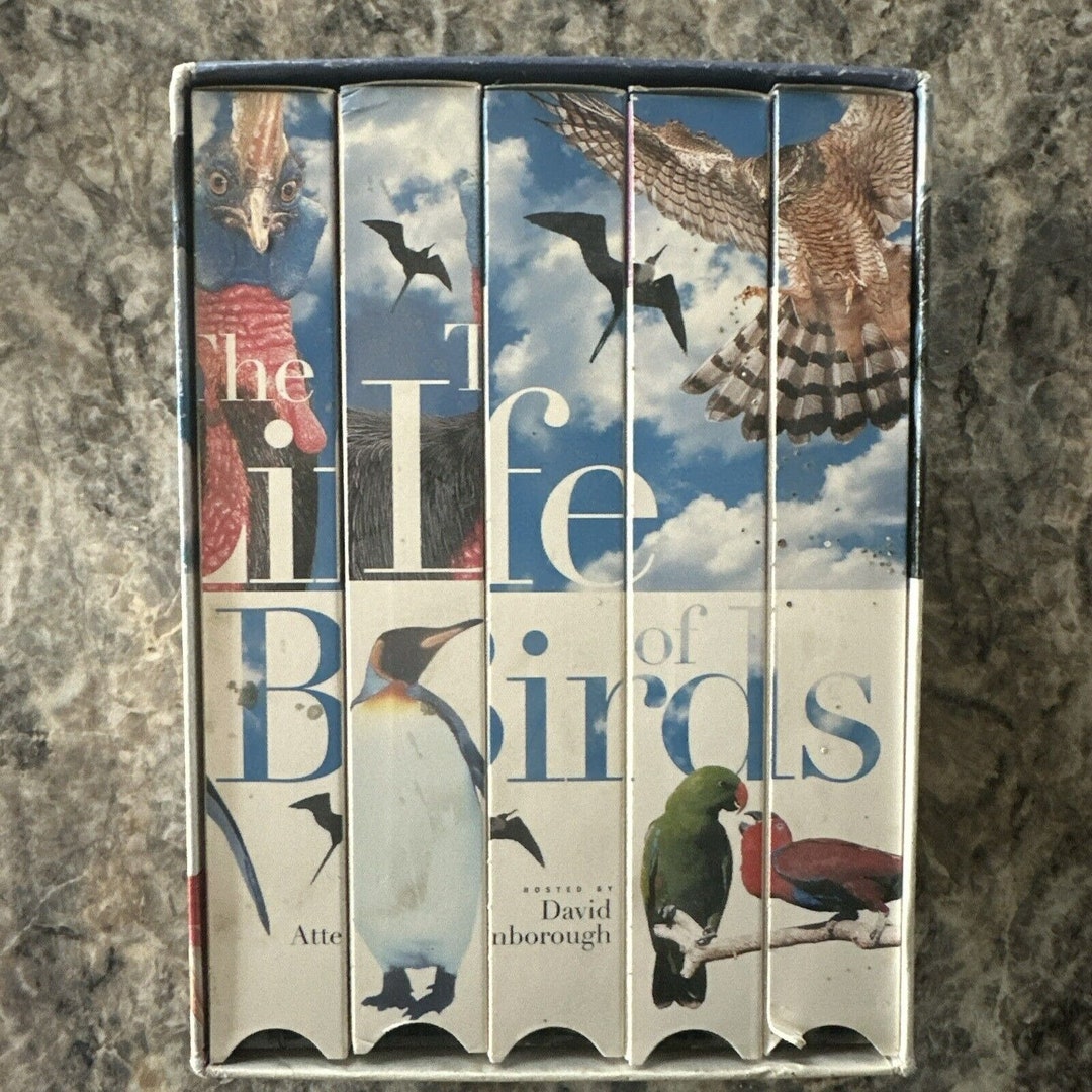 The Life of Birds VHS Set 1998 Narrated by David Attenborough BBC Video ...