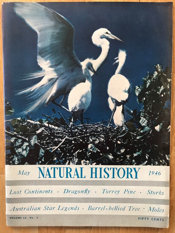 Natural History Magazine May 1946 - Etsy