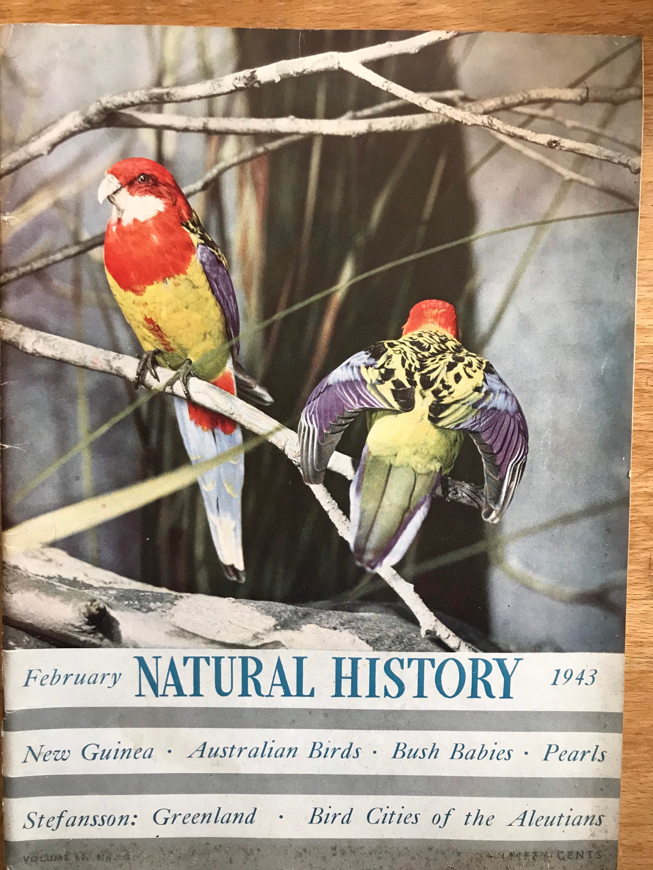Natural History Magazine Février 1943 - Etsy France