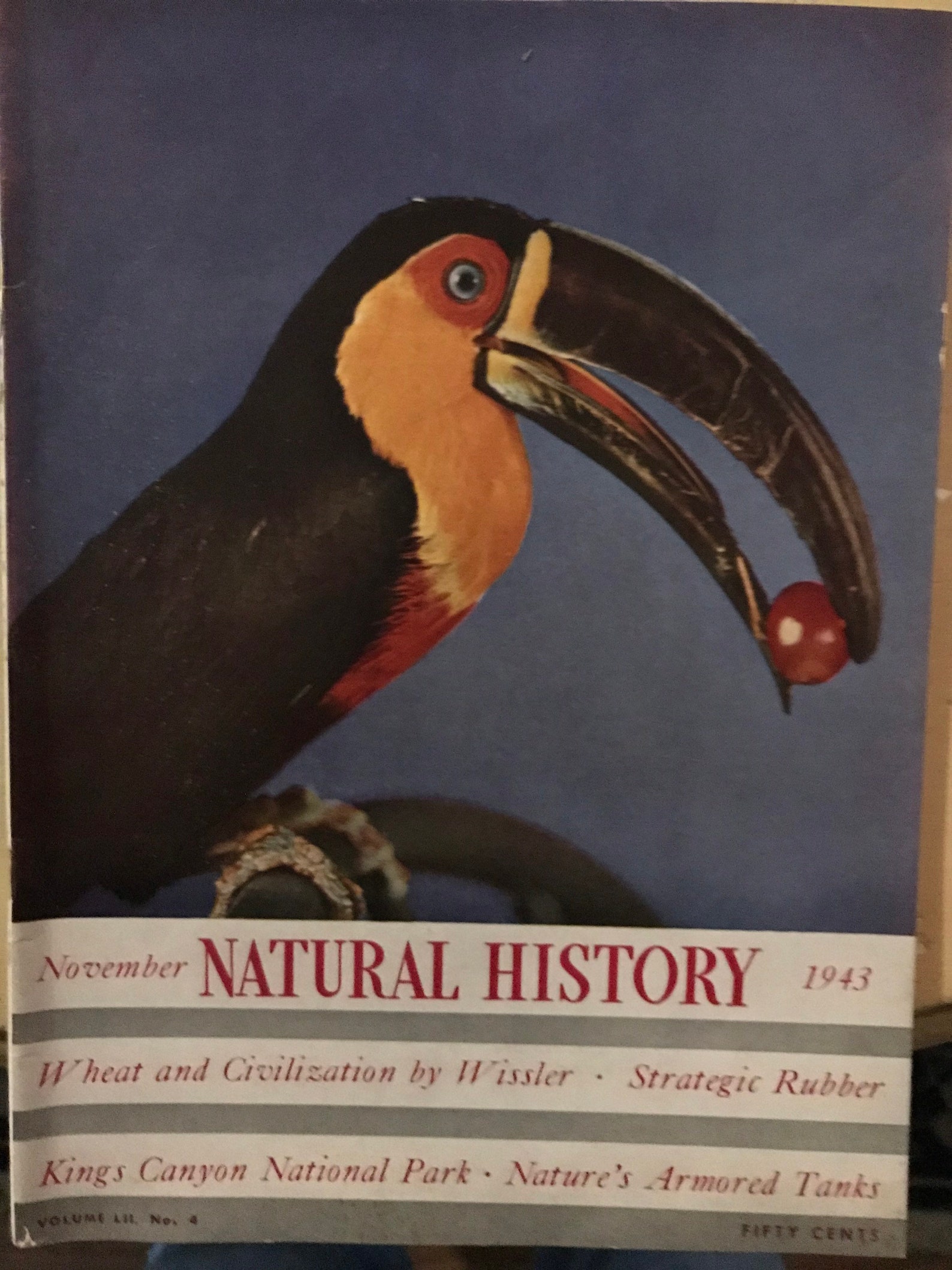 Natural History Magazine November 1943 - Etsy
