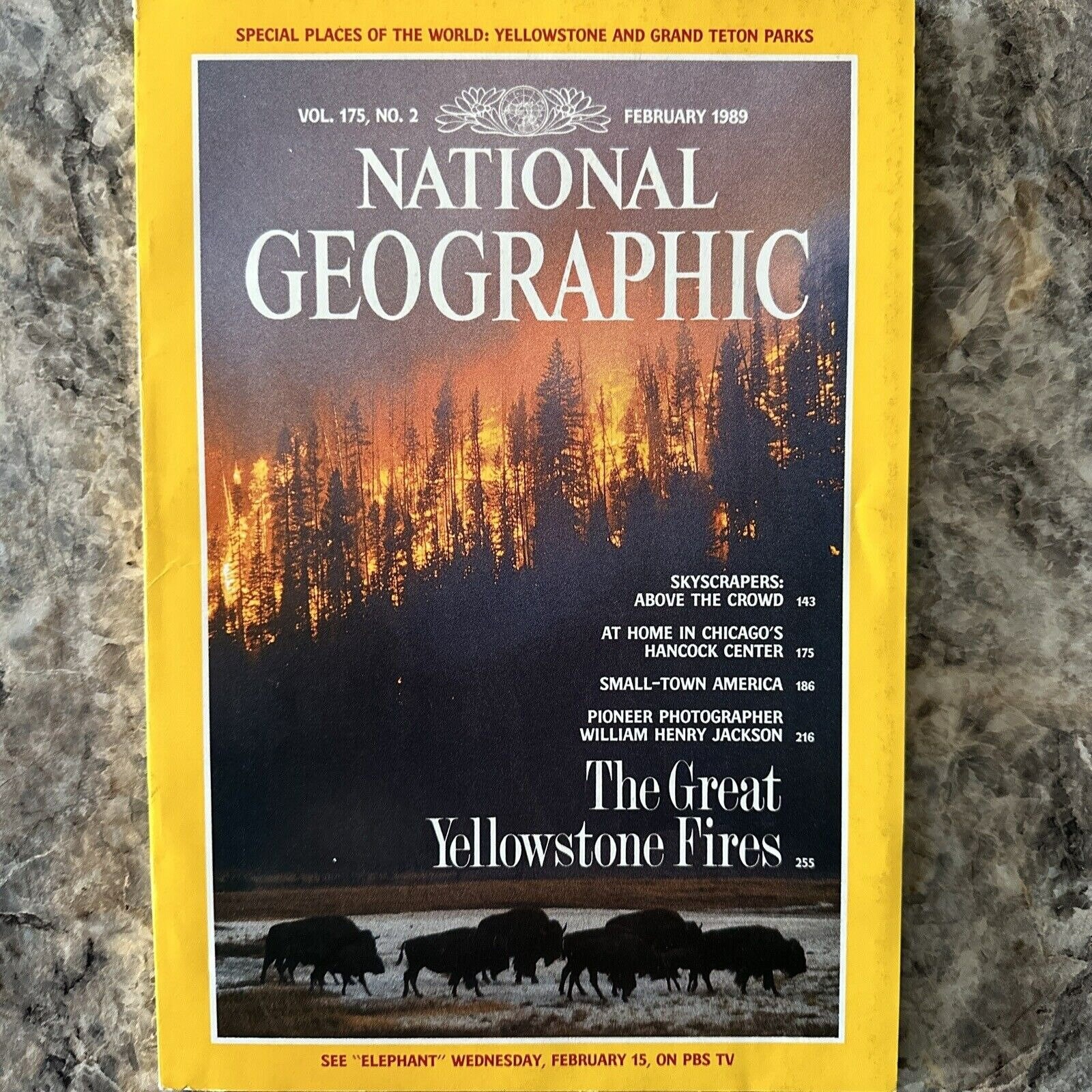 National Geographic Magazine February 1989 the Great Yellowstone Fires ...