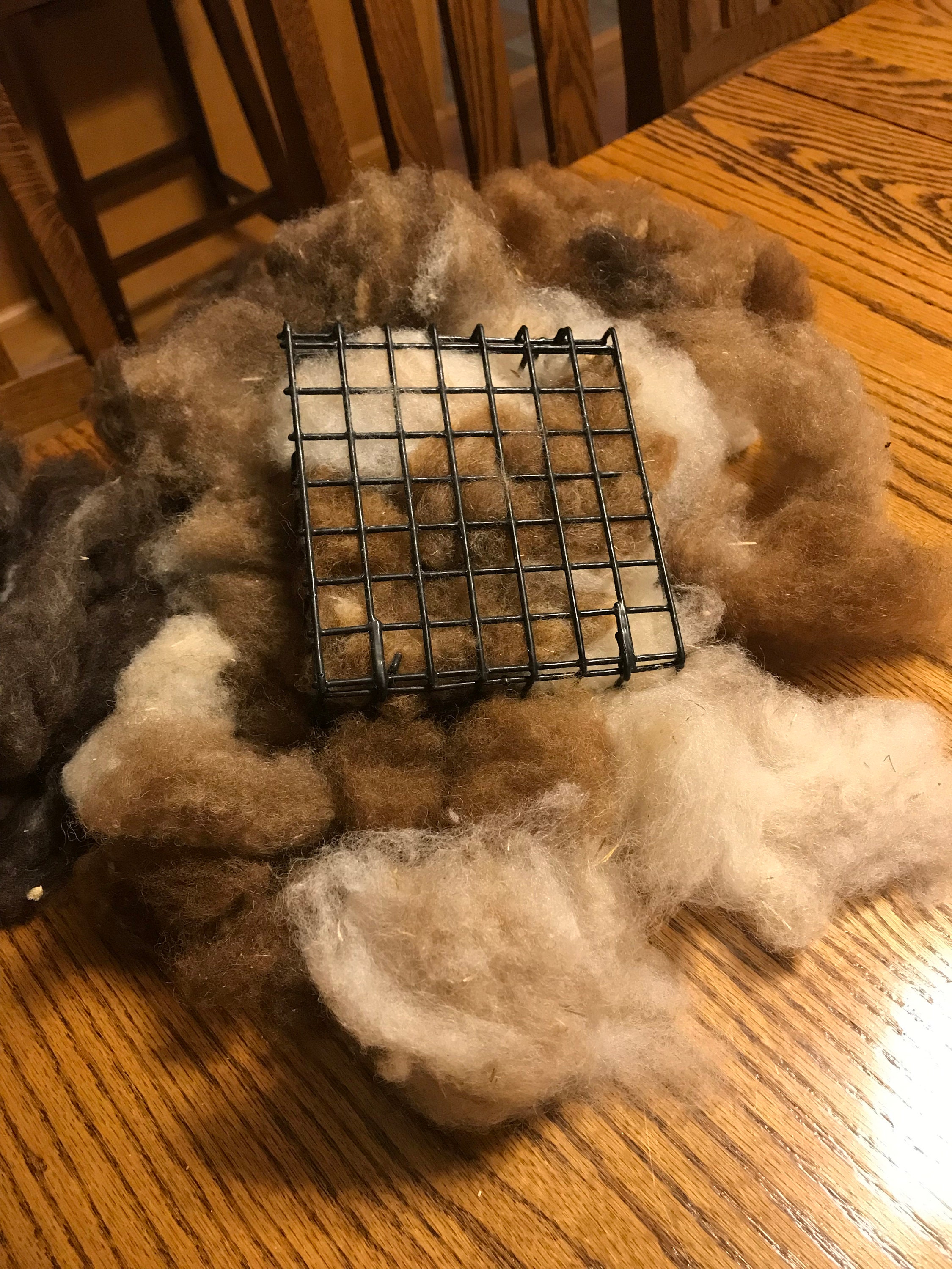 Bird Nesting Refill/ Natural Mulch-shetland Sheep Wool- Natural Fiber ...