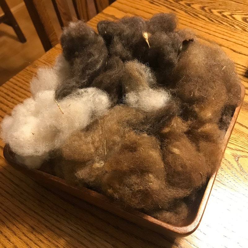 Wool Birds - Etsy