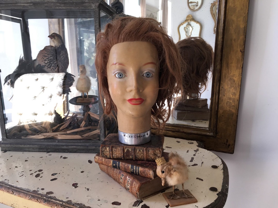 Curiosity Cabinet. - Etsy