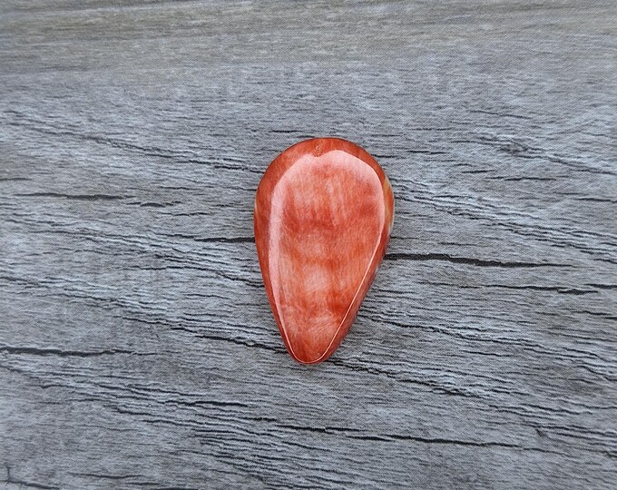 Spiney Oyster {SO13} Cabochon | Gemstone | Cab | Polished Stone - Etsy