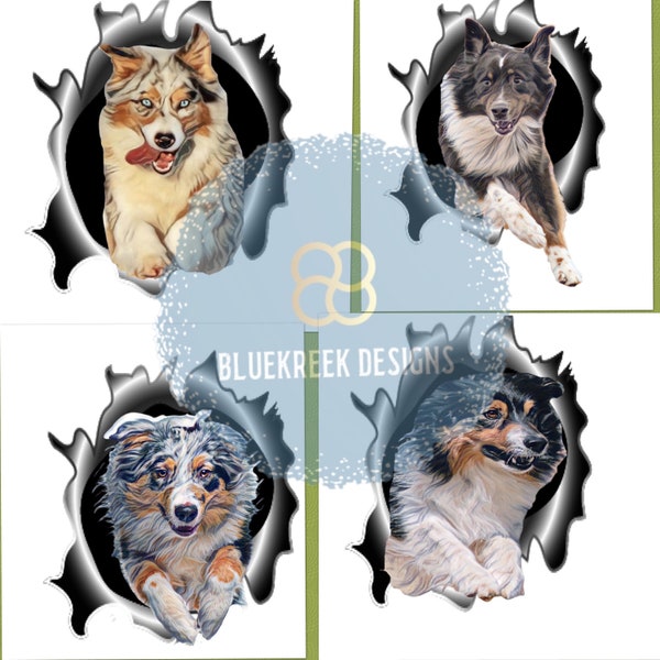 Australian Shepherd Decal - Etsy