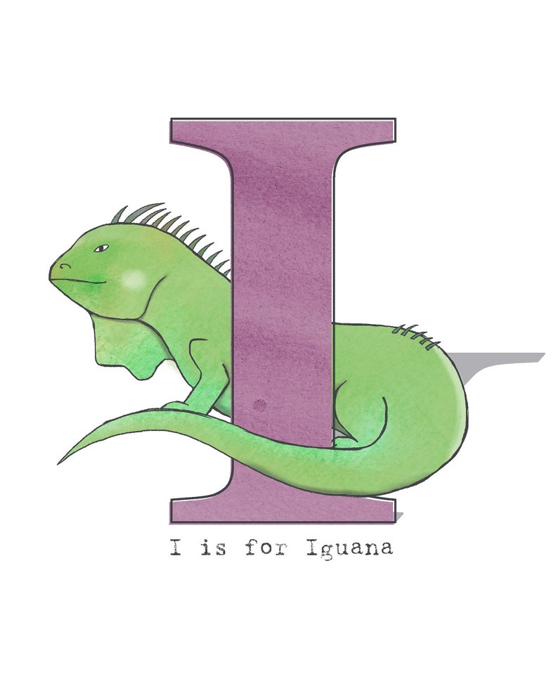 I is for Iguana Alphabet Illustration Print Nursery Art - Etsy