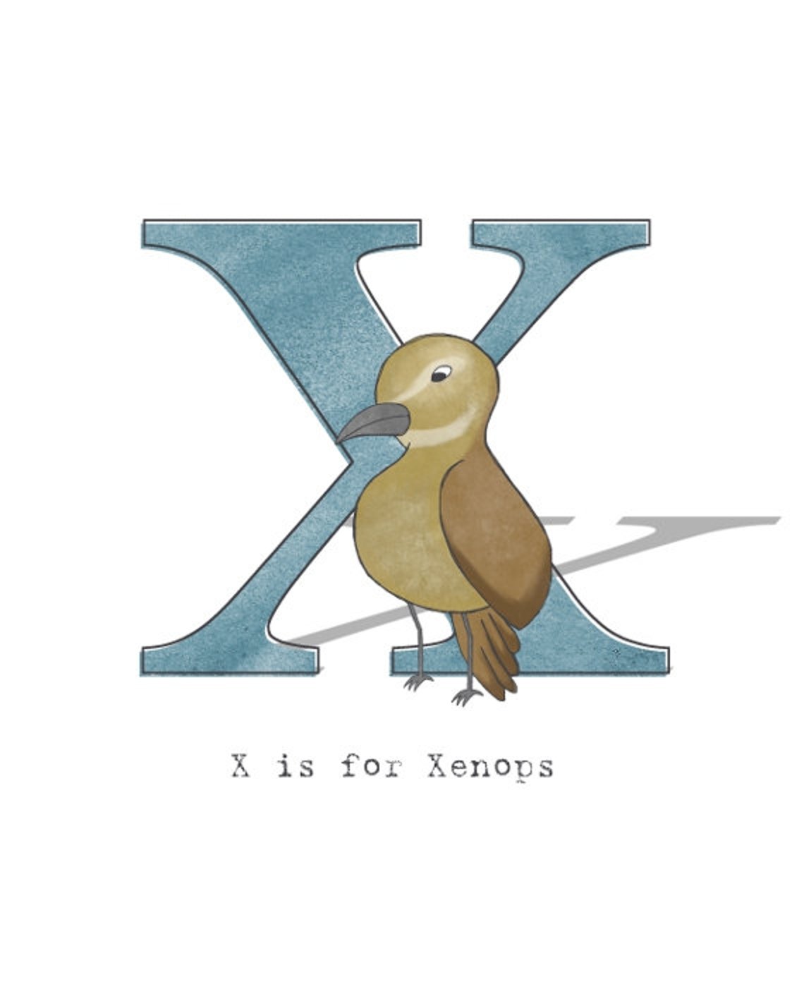 X is for Xenops Alphabet Illustration Print Nursery Art - Etsy