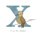 X is for Xenops Alphabet Illustration Print, Nursery Art, Kid's Decor ...