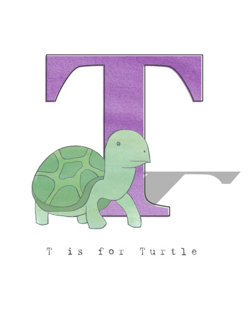 T is for Turtle Alphabet Illustration Print Nursery Art | Etsy