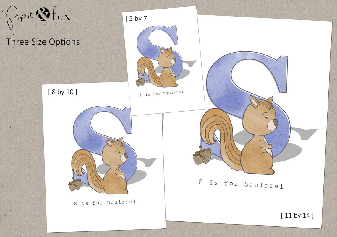 S is for Squirrel Alphabet Illustration Print Nursery Art - Etsy