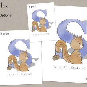 S is for Squirrel Alphabet Illustration Print, Nursery Art, Kid's Decor ...