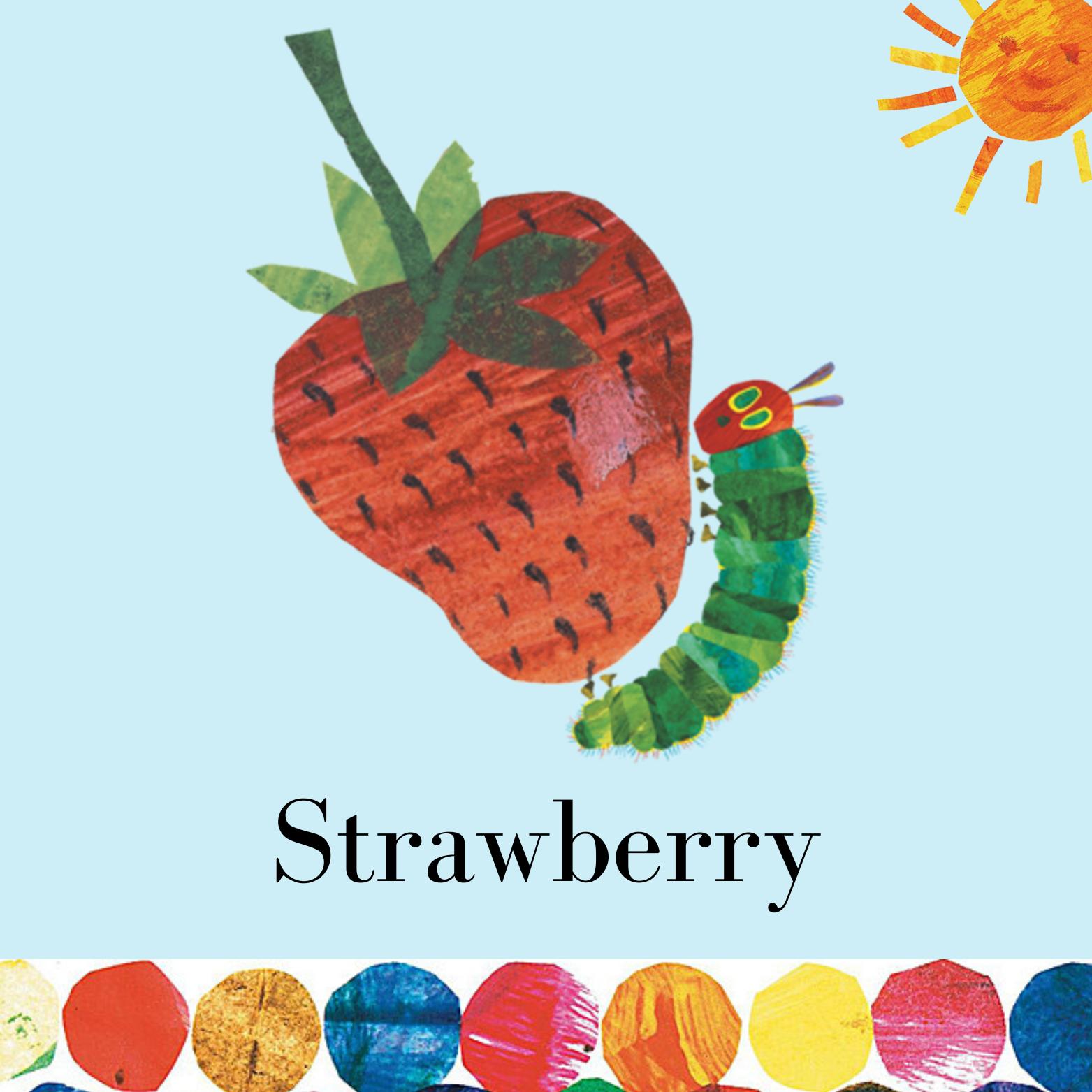 The Very Hungry Caterpillar - Set of 25 Flashcards/posters - Etsy