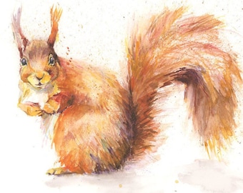 Red Squirrel Print From a Watercolour Painting of a Red - Etsy