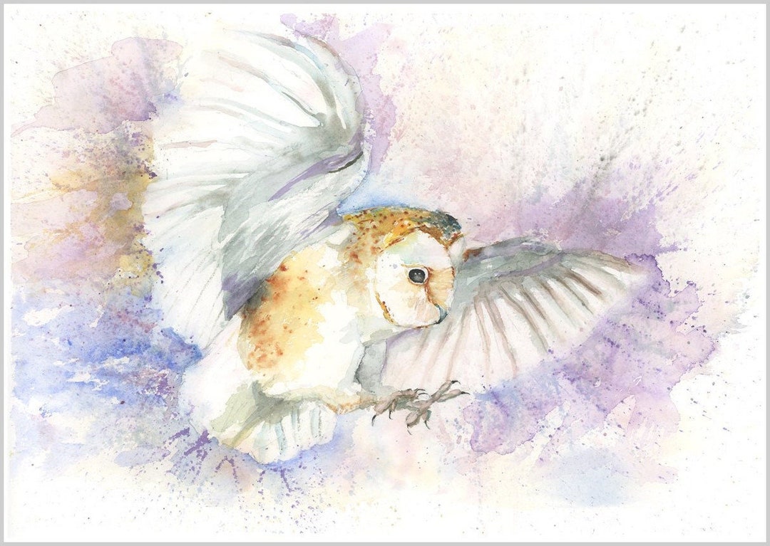 Barn Owl Swoop Print Watercolour - Etsy New Zealand