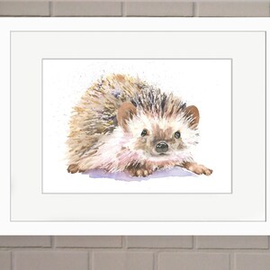 HEDGEHOG Print Watercolour - Etsy UK