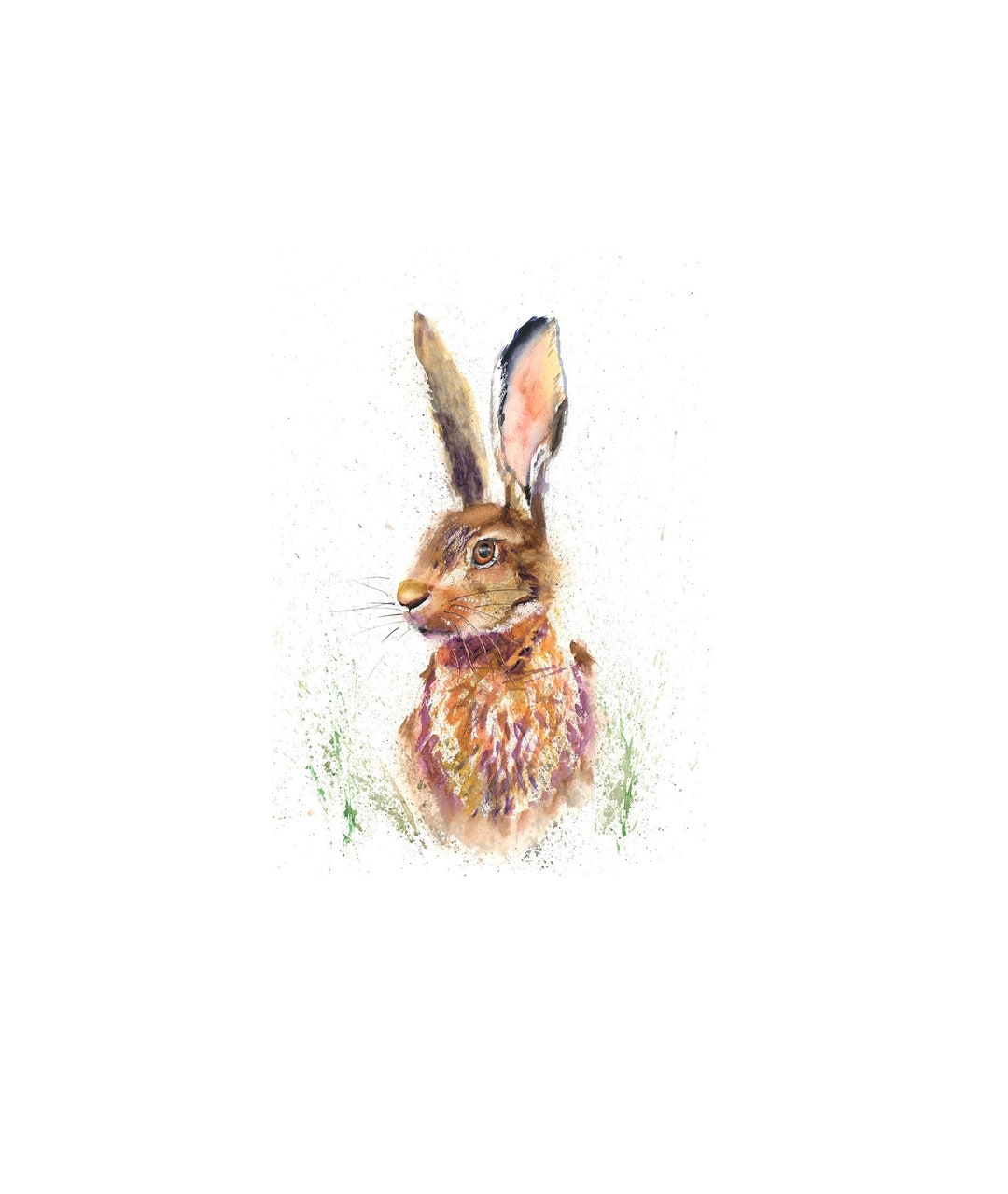 Harry Hare Print Watercolour - Etsy UK