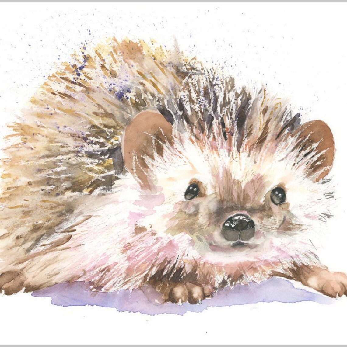 HEDGEHOG Print Watercolour - Etsy