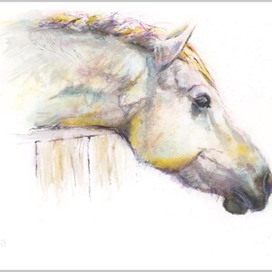 WHITE HORSE Watercolour Painting Large - Etsy