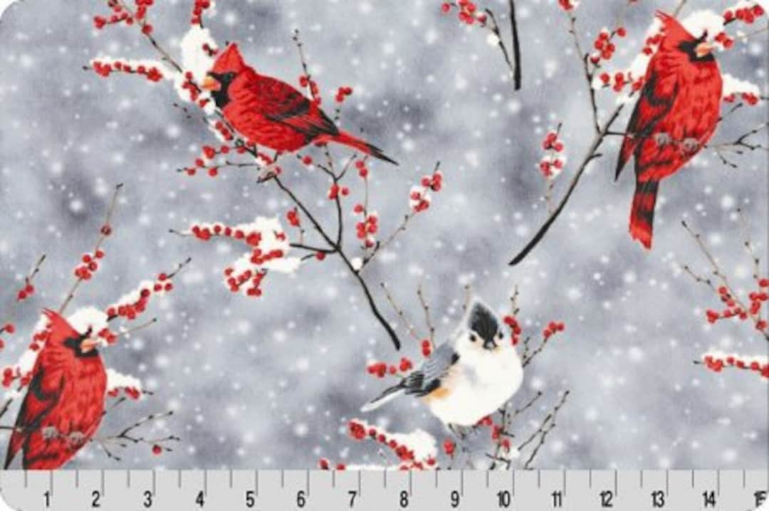 Cardinal Sparrow Minky Fabric - Shannon Cuddle Minky Bird Minky Red ...