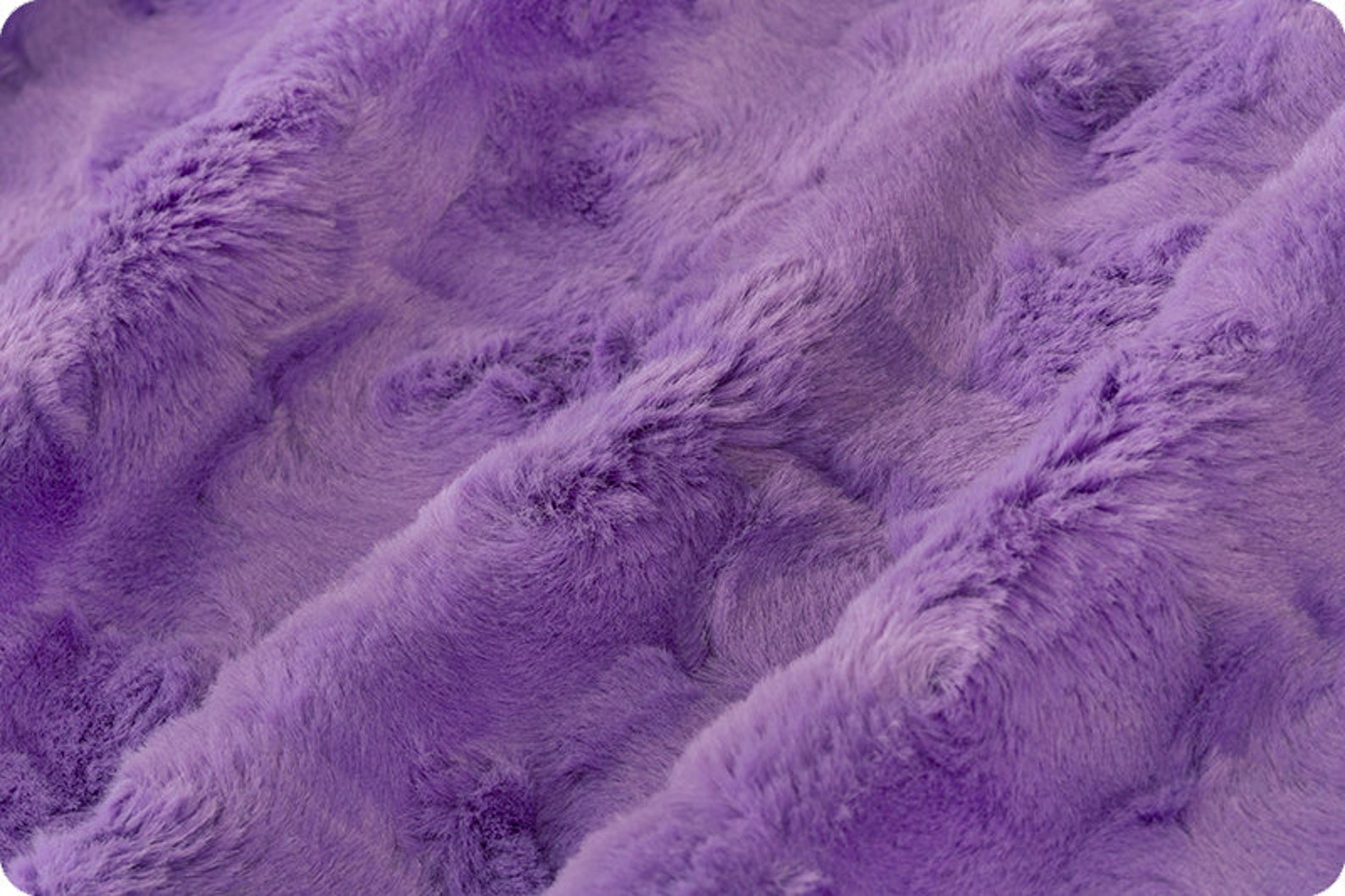 Jewel Luna Shannon Luxe Cuddle® jewel Luna Purple Minky - Etsy