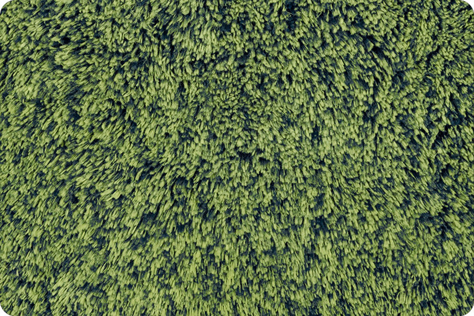 FROSTED SHAGGY Lime/navy Minky - Shannon Luxe Cuddle Frosted Shaggy ...