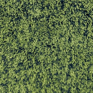 FROSTED SHAGGY Lime/navy Minky - Shannon Luxe Cuddle Frosted Shaggy ...
