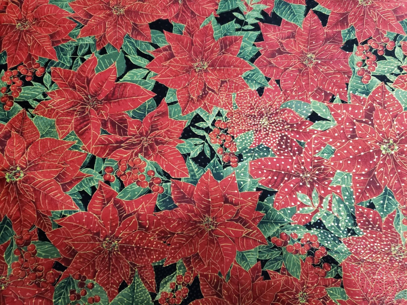POINSETTIA SPARKLE Minky - Xmas Poinsettia Minky - TT Poinsettias on ...