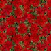 POINSETTIA SPARKLE Minky - Xmas Poinsettia Minky - TT Poinsettias on ...