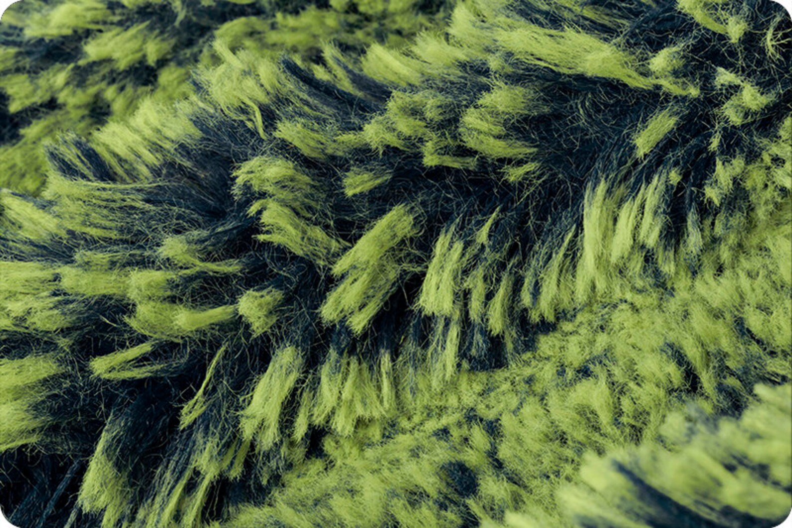 FROSTED SHAGGY Lime/navy Minky - Shannon Luxe Cuddle Frosted Shaggy ...