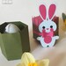 Rabbit Explosion Box easter Svg Silhouette Cameo Cricut - Etsy