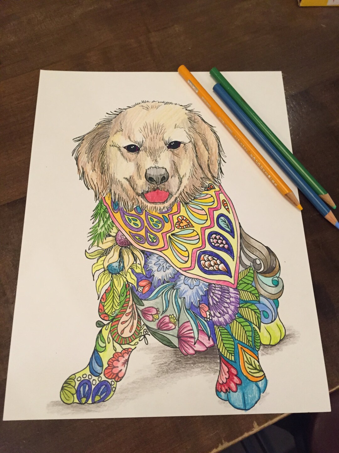 Custom Pet Portrait Coloring Page by Illustrator Julie Kukreja - Etsy