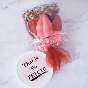 Mean Girls Mini Jar Soap, Mean Girls Movie Quotes, Small Lip Shaped ...