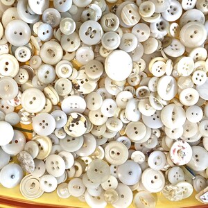 Huge Lot of Vintage Pearl White Buttons - Etsy