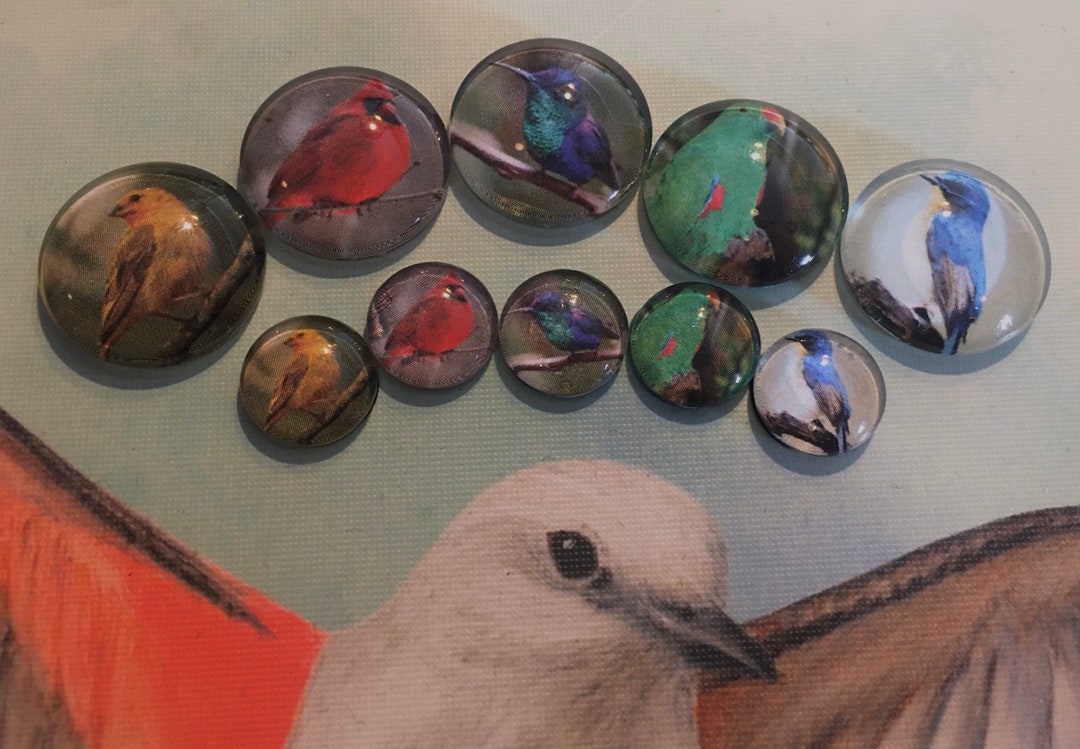 Glass Action Tokens for Wingspan - Etsy