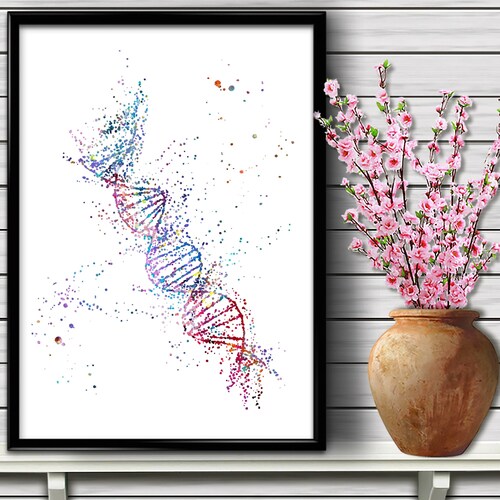 Human Heart Watercolor Painting Poster Science Art Biology | Etsy