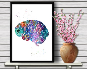 Human Brain Anatomy Biology Poster Colorful Watercolor - Etsy