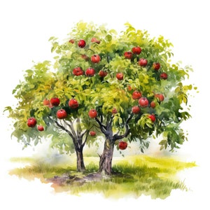 Apple Tree in Orchard Clipart Bundle- 10 High Quality Watercolor Jpgs ...