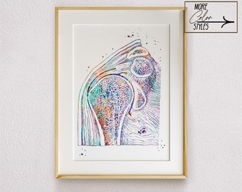 Shoulder Anatomy Poster - Etsy