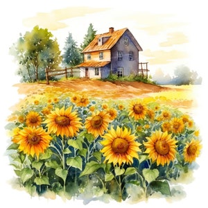 Sunflower Field in Front of Old Farmhouse JPG Clipart Bundle- Digital ...
