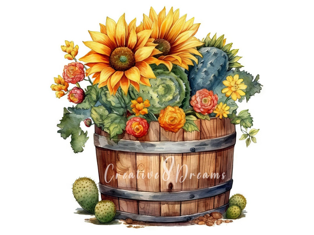 Sunflowers and Cacti in Barrel JPG Clipart Bundle- Digital Download - Etsy