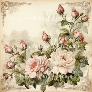 Vintage Page With White Roses Clipart Bundle- 10 High Quality ...