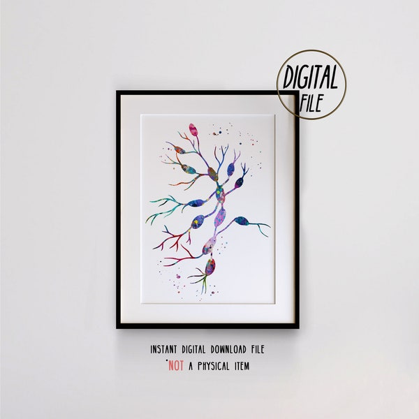 Lymph - Etsy