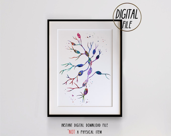 Lymph Nodes Anatomy Printable Art Lymphatic System Biology Science ...