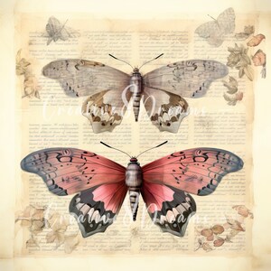 Shabby Chic Butterfly Vintage Newspapers Clipart Bundle- 10 High ...