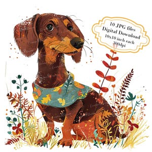 Adorable Brown Dachshund Stretch Clipart Bundle- 10 High Quality ...