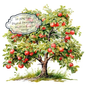 Apple Tree in Orchard Clipart Bundle- 10 High Quality Watercolor Jpgs ...