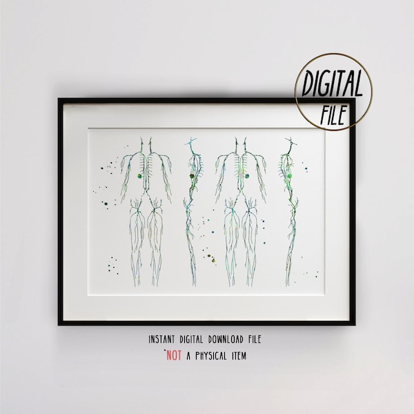 Lymphatic System - Etsy