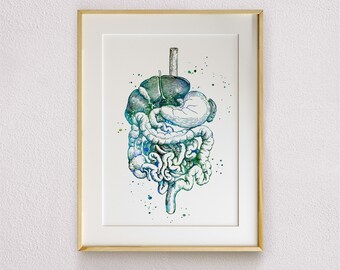 Poster Digestive System - Etsy